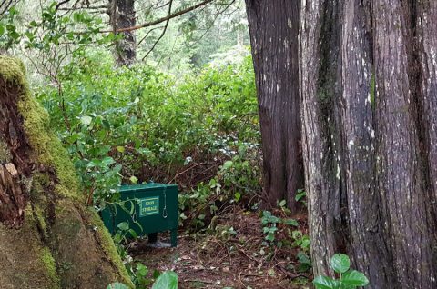 Food Cache Project | Tofino Sea Kayaking